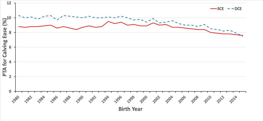 What's going on with calving ease? | News & Alerts | National ...